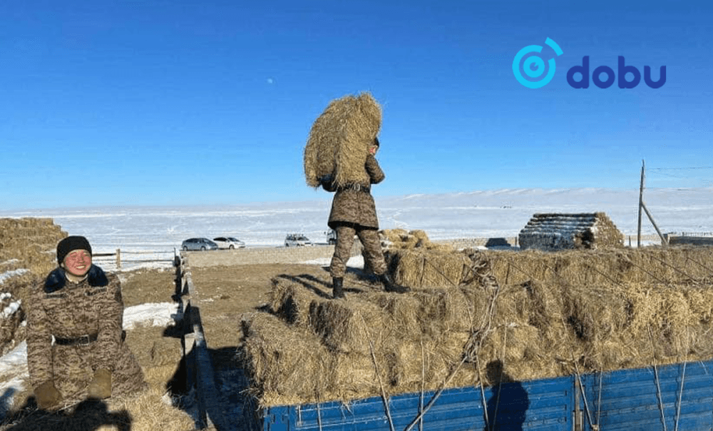 Зэвсэгт хүчний томилгоот бүлэг 17 аймагт үүрэг гүйцэтгэж байна - dobu.mn