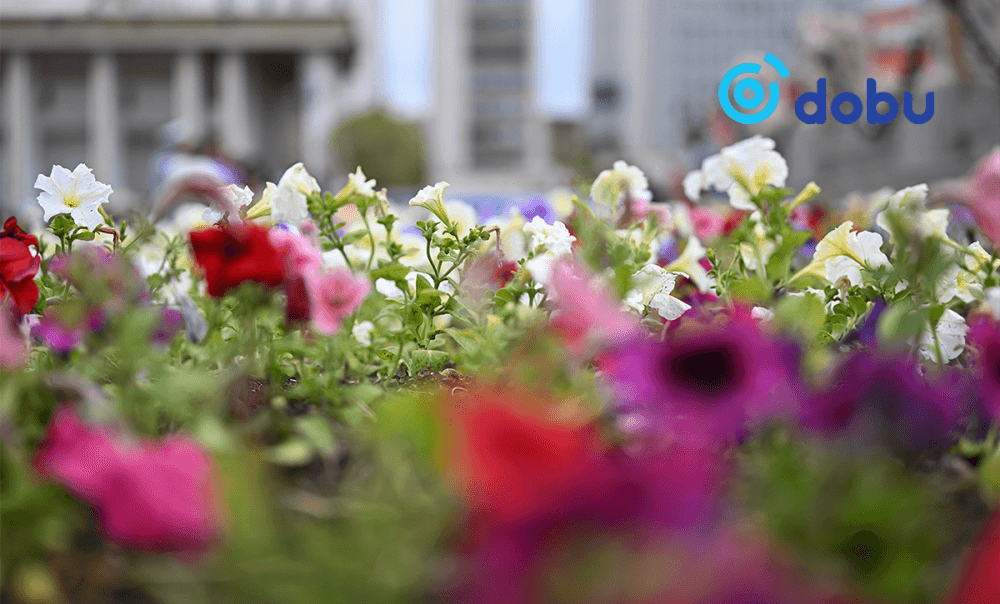 Улаанбаатарт 21 градус дулаан байна - dobu.mn